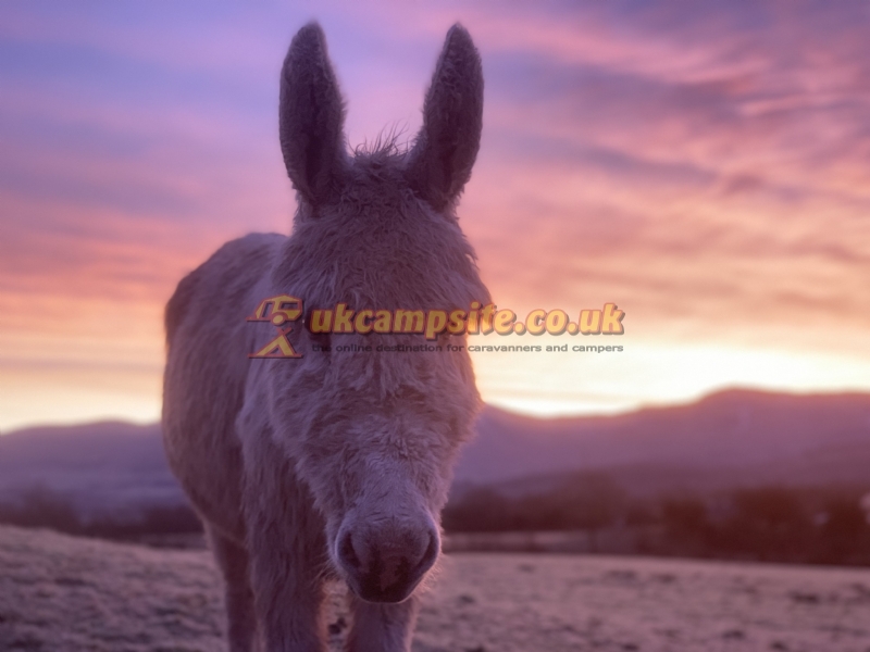Caerhun Farm Camping And Pods , Bangor Campsites, Gwynedd